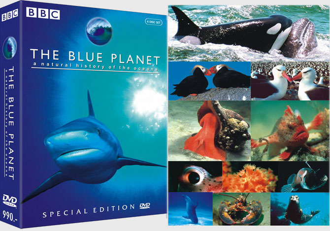 The Blue Planet